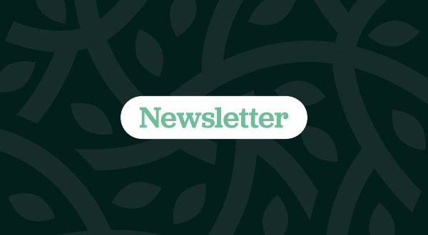 Newsletter: Homes England Submit Planning Application for the Homestead ...